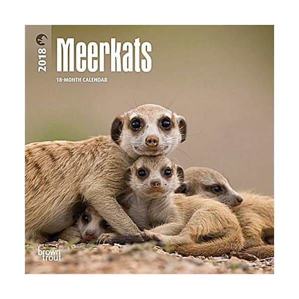 【お取り寄せ・キャンセル不可の商品】：2週間~4週間でお届け（お急ぎの方はご遠慮ください。）　／　【本の説明】28ページ　178*178mm　言語：English　国：アメリカ　360g　ISBN：9781465097705　／　【本の内容...