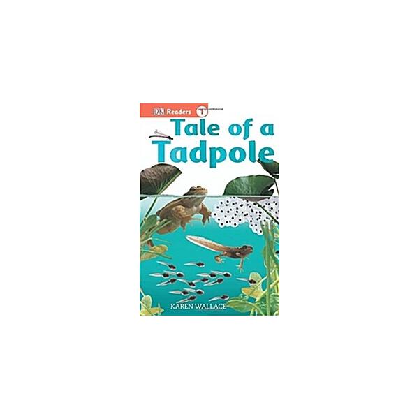 【お取り寄せ・キャンセル不可の商品】：2週間~4週間でお届け（お急ぎの方はご遠慮ください。）　／　【本の説明】48ページ　145*224mm　言語：English　国：アメリカ　91g　ISBN:9781465435088　対象年齢：5~9...