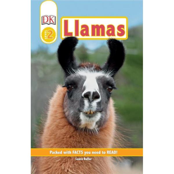 【お取り寄せ・キャンセル不可の商品】：2週間~4週間でお届け（お急ぎの方はご遠慮ください。）　／　【本の説明】48ページ　145*224mm　言語：English　国：アメリカ　136g　ISBN:9781465481429　対象年齢：5~...