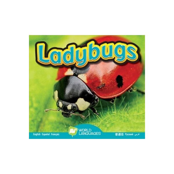 【お取り寄せ・キャンセル不可の商品】：2週間~4週間でお届け（お急ぎの方はご遠慮ください。）　／　【本の説明】24ページ　218*246mm　言語：English　295g　ISBN:9781489665607　対象年齢：6~9歳|Lexi...