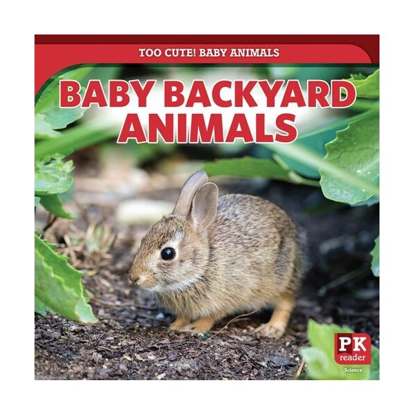 【お取り寄せ・キャンセル不可の商品】：2週間~4週間でお届け（お急ぎの方はご遠慮ください。）　／　【本の説明】24ページ　204*204mm　言語：English　200g　ISBN：9781499445145　対象年齢：8~12歳　／　【...