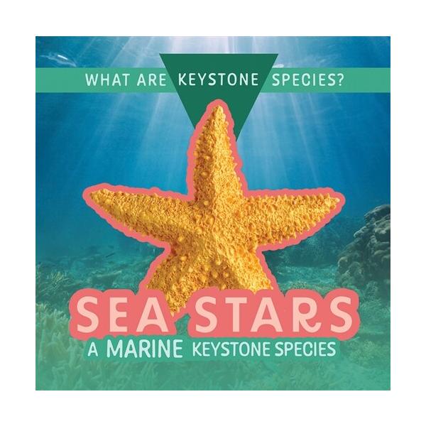 【お取り寄せ・キャンセル不可の商品】：2週間~4週間でお届け（お急ぎの方はご遠慮ください。）　／　【本の説明】24ページ　204*208mm　言語：English　227g　ISBN：9781499446692　対象年齢：8~11歳　／　【...