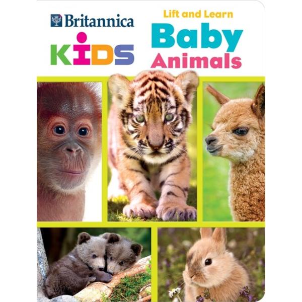 【お取り寄せ・キャンセル不可の商品】：2週間~4週間でお届け（お急ぎの方はご遠慮ください。）　／　【本の説明】20ページ　160*208mm　言語：English　272g　ISBN:9781503752160　対象年齢：2~4歳　／　【本...