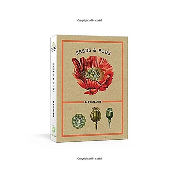 【お取り寄せ・キャンセル不可の商品】：2週間~4週間でお届け（お急ぎの方はご遠慮ください。）　／　【本の説明】24ページ　114*155mm　言語：English　国：アメリカ　181g　ISBN：9781524759056　／　【本の内容...