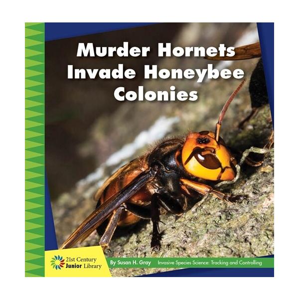 【お取り寄せ・キャンセル不可の商品】：2週間~4週間でお届け（お急ぎの方はご遠慮ください。）　／　【本の説明】24ページ　180*234mm　言語：English　249g　ISBN:9781534187009　対象年齢：7~10歳|Lex...