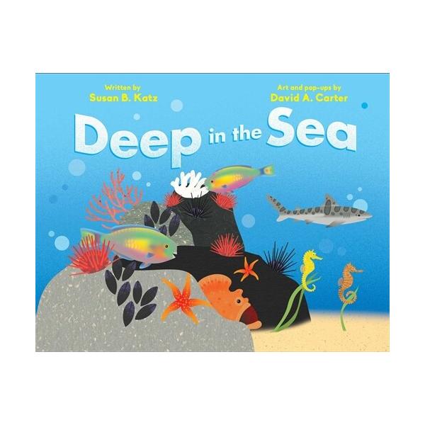 【お取り寄せ・キャンセル不可の商品】：2週間~4週間でお届け（お急ぎの方はご遠慮ください。）　／　【本の説明】12ページ　222*172mm　言語：English　463g　ISBN:9781534484351　／　【本の内容】Compar...