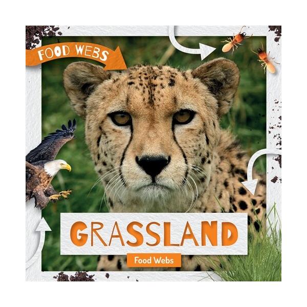 【お取り寄せ・キャンセル不可の商品】：2週間~4週間でお届け（お急ぎの方はご遠慮ください。）　／　【本の説明】24ページ　218*221mm　言語：English　295g　ISBN:9781534535220　対象年齢：7~9歳　／　【本...