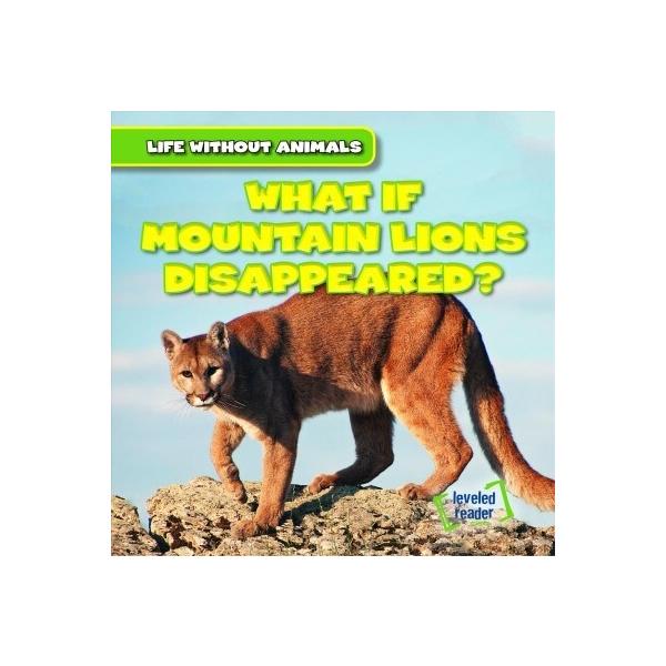 【お取り寄せ・キャンセル不可の商品】：2週間~4週間でお届け（お急ぎの方はご遠慮ください。）　／　【本の説明】24ページ　183*180mm　言語：English　国：アメリカ　159g　ISBN:9781538238165　対象年齢：6~...