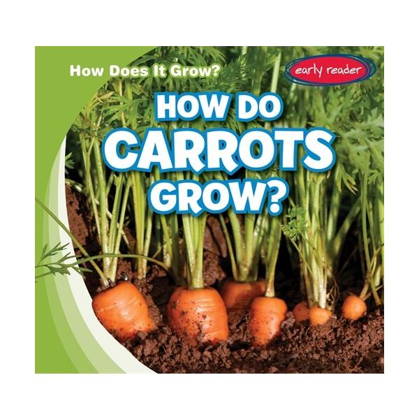 【お取り寄せ・キャンセル不可の商品】：2週間~4週間でお届け（お急ぎの方はご遠慮ください。）　／　【本の説明】24ページ　183*198mm　言語：English　159g　ISBN：9781538262993　対象年齢：4~7歳　／　【本...