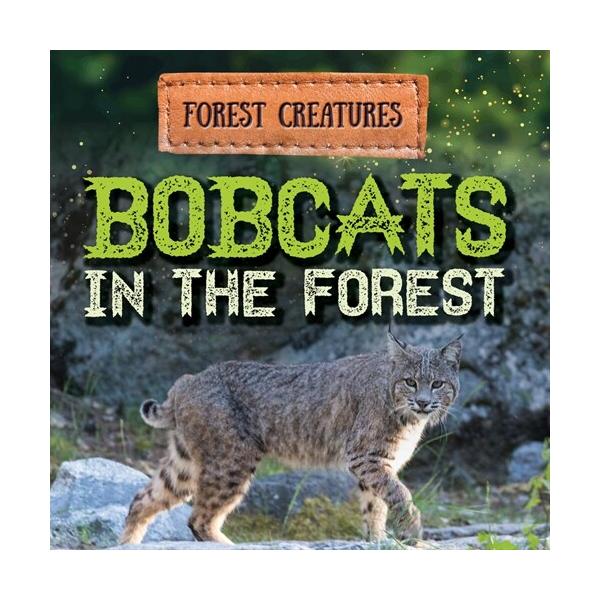 【お取り寄せ・キャンセル不可の商品】：2週間~4週間でお届け（お急ぎの方はご遠慮ください。）　／　【本の説明】24ページ　218*218mm　言語：English　259g　ISBN：9781538279090　対象年齢：7~10歳　／　【...