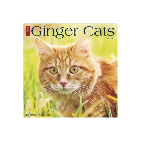 【お取り寄せ・キャンセル不可の商品】：2週間~4週間でお届け（お急ぎの方はご遠慮ください。）　／　【本の説明】305*305mm　言語：English　国：アメリカ　360g　ISBN：9781549209161　／　【本の内容】“Be b...