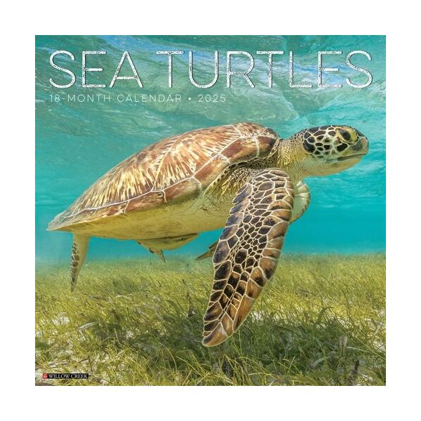 【お取り寄せ・キャンセル不可の商品】：2週間~4週間でお届け（お急ぎの方はご遠慮ください。）　／　【本の説明】307*305mm　言語：English　295g　ISBN：9781549244780　／　【本の内容】Take a deep ...