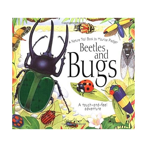 【お取り寄せ・キャンセル不可の商品】：2週間~4週間でお届け（お急ぎの方はご遠慮ください。）　／　【本の説明】16ページ　196*215mm　言語：English　国：アメリカ　290g　ISBN:9781571458971　／　【本の内容...