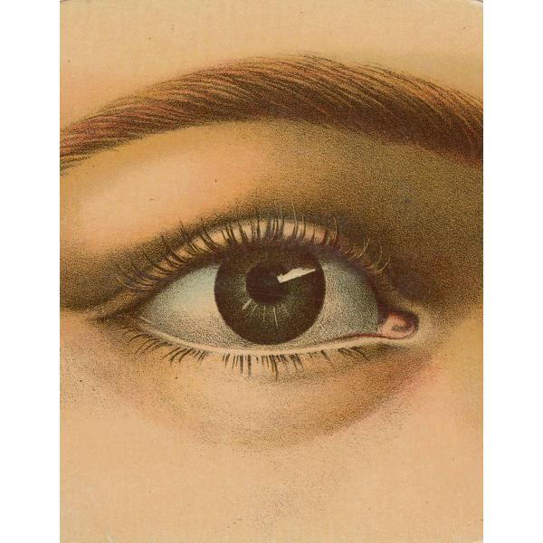 【お取り寄せ・キャンセル不可の商品】：2週間~4週間でお届け（お急ぎの方はご遠慮ください。）　／　【本の説明】368ページ　287*363mm　言語：English　国：アメリカ　2858g　ISBN:9781579656478　