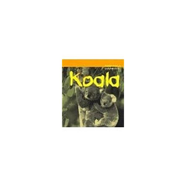 【お取り寄せ・キャンセル不可の商品】：2週間~4週間でお届け（お急ぎの方はご遠慮ください。）　／　【本の説明】32ページ　191*216mm　言語：English　113g　ISBN:9781588104465　／　【本の内容】Learn ...