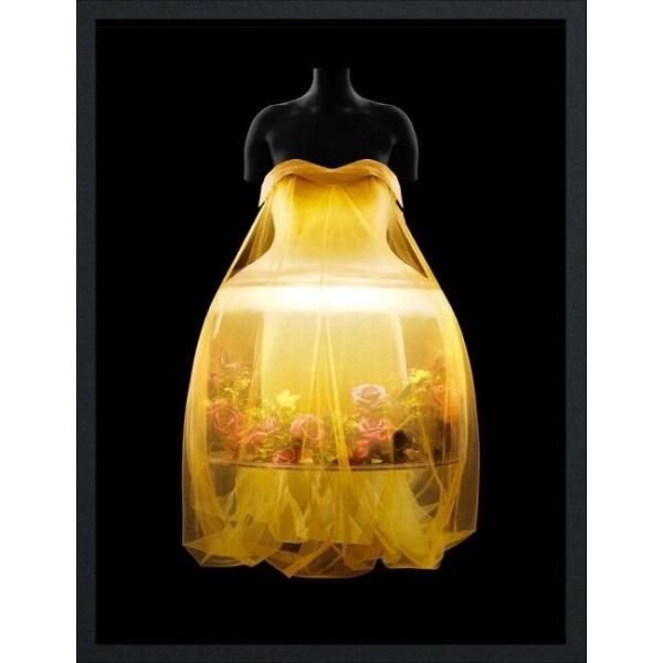 【お取り寄せ・キャンセル不可の商品】：2週間~4週間でお届け（お急ぎの方はご遠慮ください。）　／　【本の説明】494ページ　248*343mm　言語：English　国：アメリカ　703g　ISBN：9781588397775　／　【本の内...