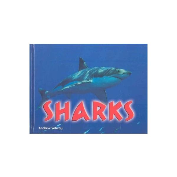 【お取り寄せ・キャンセル不可の商品】：2週間~4週間でお届け（お急ぎの方はご遠慮ください。）　／　【本の説明】24ページ　165*216mm　言語：English　191g　ISBN：9781596465503　／　【本の内容】Book b...