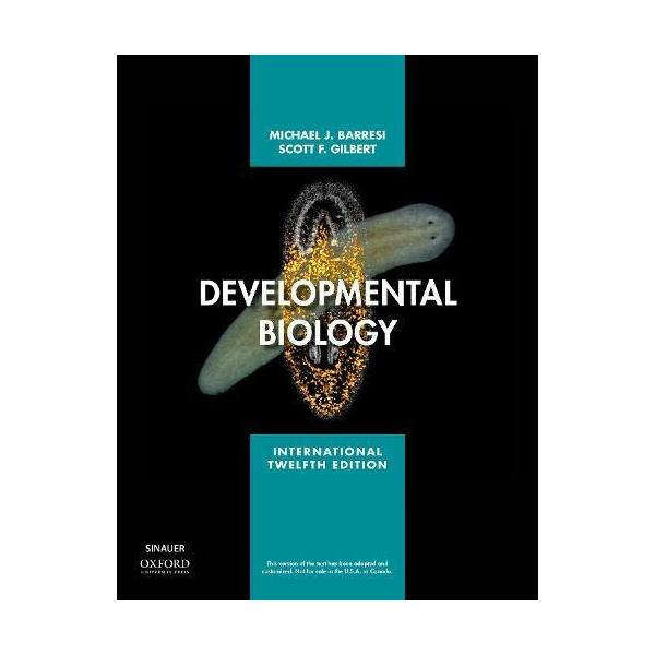 【お取り寄せ・キャンセル不可の商品】：2週間~4週間でお届け（お急ぎの方はご遠慮ください。）　／　【本の説明】792ページ　216*279mm　言語：English　国：アメリカ　903g　ISBN：9781605358741　／　【本の内...