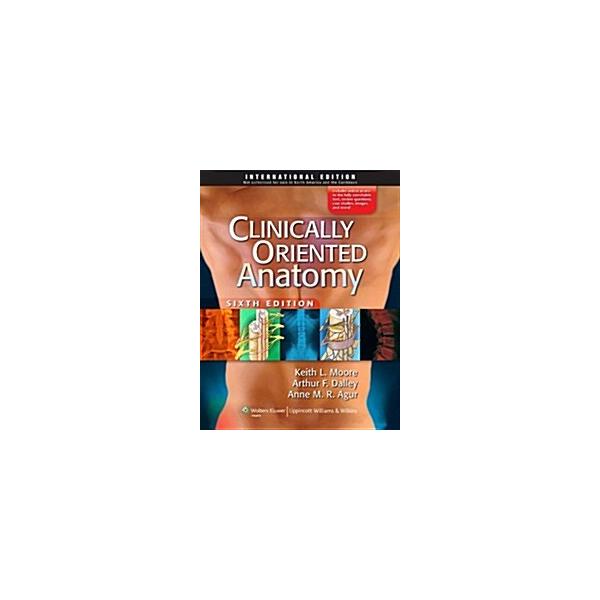 【お取り寄せ・キャンセル不可の商品】：2週間~4週間でお届け（お急ぎの方はご遠慮ください。）　／　【本の説明】1168ページ　212*274mm　言語：English　国：アメリカ　2282g　ISBN：9781605476520　／　【本...