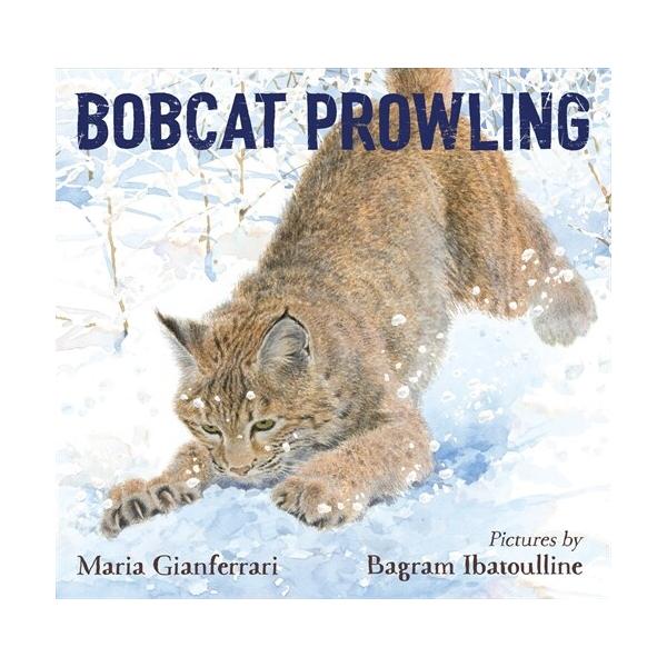 【お取り寄せ・キャンセル不可の商品】：2週間~4週間でお届け（お急ぎの方はご遠慮ください。）　／　【本の説明】48ページ　279*262mm　言語：English　国：アメリカ　513g　ISBN：9781626727861　対象年齢：4~...