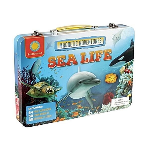 【お取り寄せ・キャンセル不可の商品】：2週間~4週間でお届け（お急ぎの方はご遠慮ください。）　／　【本の説明】64ページ　305*216mm　言語：English　国：アメリカ　198g　ISBN:9781626863040　対象年齢：5歳以上　