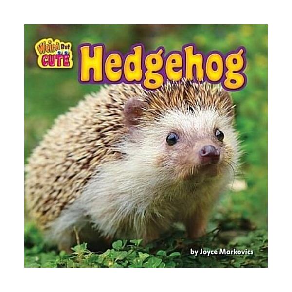 【お取り寄せ・キャンセル不可の商品】：2週間~4週間でお届け（お急ぎの方はご遠慮ください。）　／　【本の説明】24ページ　203*206mm　言語：English　249g　ISBN:9781627248464　対象年齢：4~8歳|Lexi...