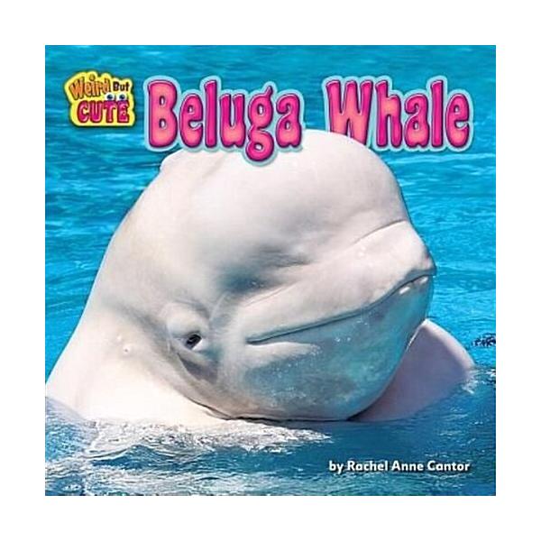 【お取り寄せ・キャンセル不可の商品】：2週間~4週間でお届け（お急ぎの方はご遠慮ください。）　／　【本の説明】24ページ　203*206mm　言語：English　249g　ISBN:9781627248518　対象年齢：4~8歳|Lexi...