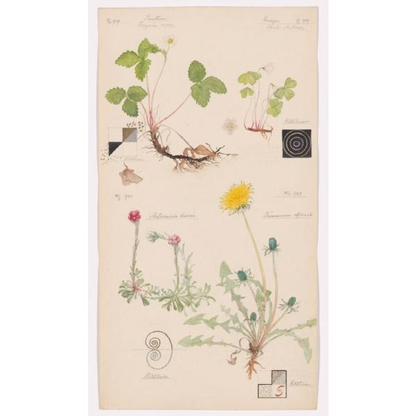 【お取り寄せ・キャンセル不可の商品】：2週間~4週間でお届け（お急ぎの方はご遠慮ください。）　／　【本の説明】208ページ　230*267mm　言語：English　国：アメリカ　377g　ISBN：9781633451681　／　【本の内...