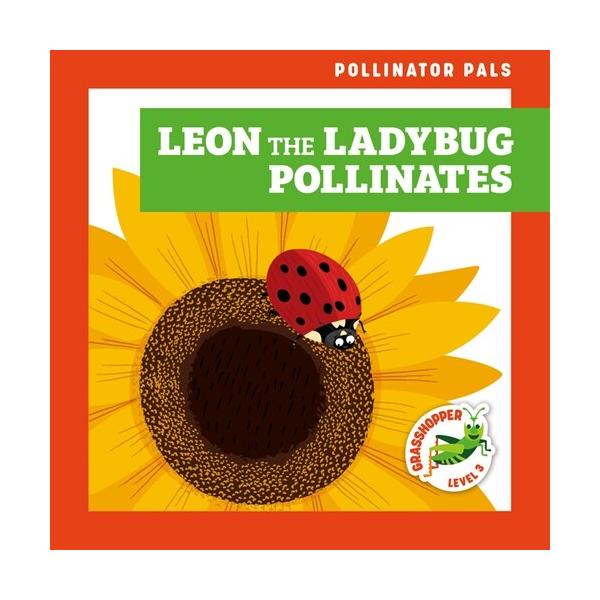 【お取り寄せ・キャンセル不可の商品】：2週間~4週間でお届け（お急ぎの方はご遠慮ください。）　／　【本の説明】24ページ　150*226mm　言語：English　318g　ISBN:9781636902340　対象年齢：8~12歳　／　【...