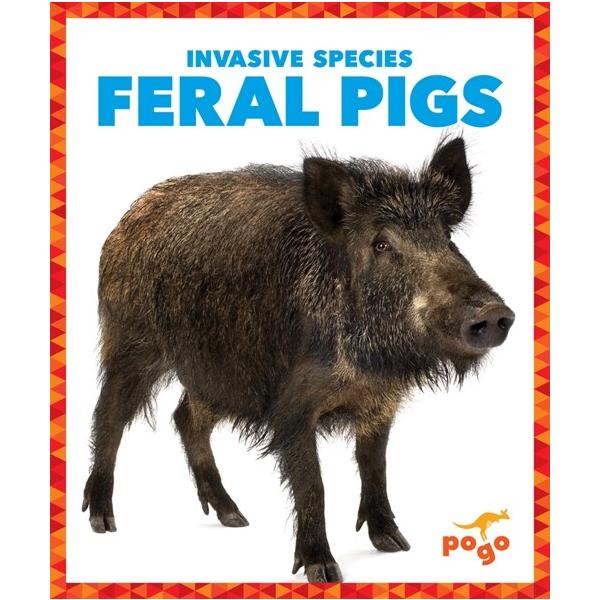 【お取り寄せ・キャンセル不可の商品】：2週間~4週間でお届け（お急ぎの方はご遠慮ください。）　／　【本の説明】24ページ　192*230mm　言語：English　249g　ISBN：9781636907956　対象年齢：7~10歳|Lex...