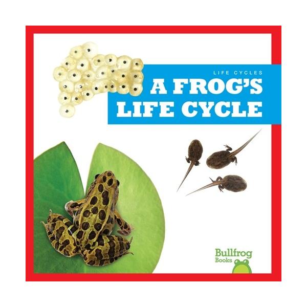 【お取り寄せ・キャンセル不可の商品】：2週間~4週間でお届け（お急ぎの方はご遠慮ください。）　／　【本の説明】24ページ　157*193mm　言語：English　318g　ISBN：9781636908359　対象年齢：8~12歳|Lex...