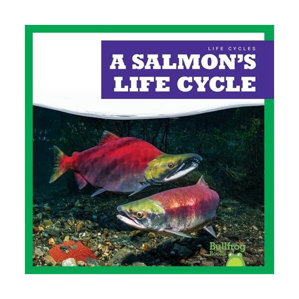 【お取り寄せ・キャンセル不可の商品】：2週間~4週間でお届け（お急ぎの方はご遠慮ください。）　／　【本の説明】24ページ　198*208mm　言語：English　295g　ISBN：9781636908380　対象年齢：8~12歳|Lex...