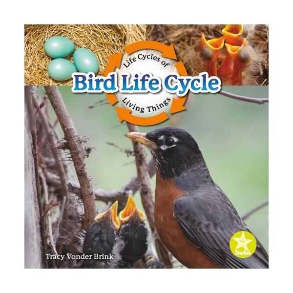 【お取り寄せ・キャンセル不可の商品】：2週間~4週間でお届け（お急ぎの方はご遠慮ください。）　／　【本の説明】24ページ　206*203mm　言語：English　204g　ISBN：9781638974529　対象年齢：3~6歳　／　【本...