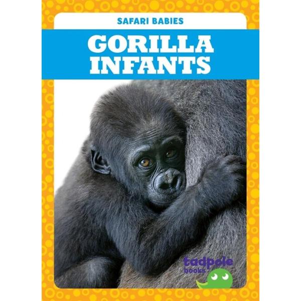 【お取り寄せ・キャンセル不可の商品】：2週間~4週間でお届け（お急ぎの方はご遠慮ください。）　／　【本の説明】16ページ　168*231mm　言語：English　国：アメリカ　181g　ISBN:9781641282406　対象年齢：8~...