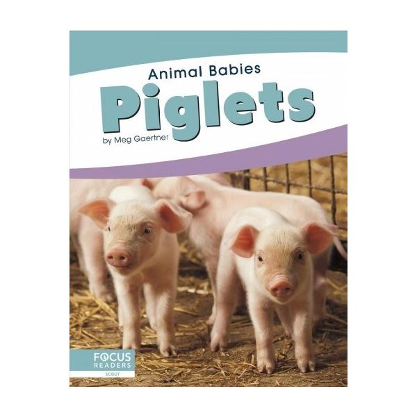 【お取り寄せ・キャンセル不可の商品】：2週間~4週間でお届け（お急ぎの方はご遠慮ください。）　／　【本の説明】16ページ　183*234mm　言語：English　国：アメリカ　181g　ISBN:9781641857499　対象年齢：5~...