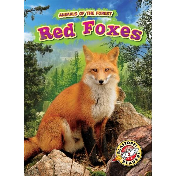 【お取り寄せ・キャンセル不可の商品】：2週間~4週間でお届け（お急ぎの方はご遠慮ください。）　／　【本の説明】24ページ　172*232mm　言語：English　209g　ISBN:9781644875087　対象年齢：5~8歳|Lexi...