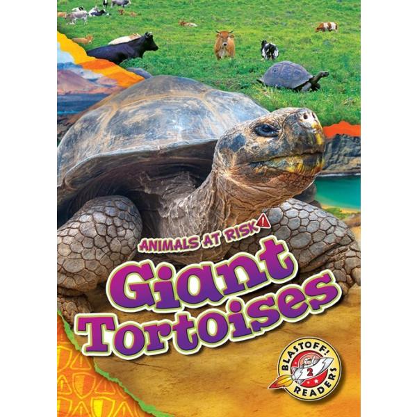 【お取り寄せ・キャンセル不可の商品】：2週間~4週間でお届け（お急ぎの方はご遠慮ください。）　／　【本の説明】24ページ　166*230mm　言語：English　204g　ISBN：9781644877128　対象年齢：8~12歳　／　【...