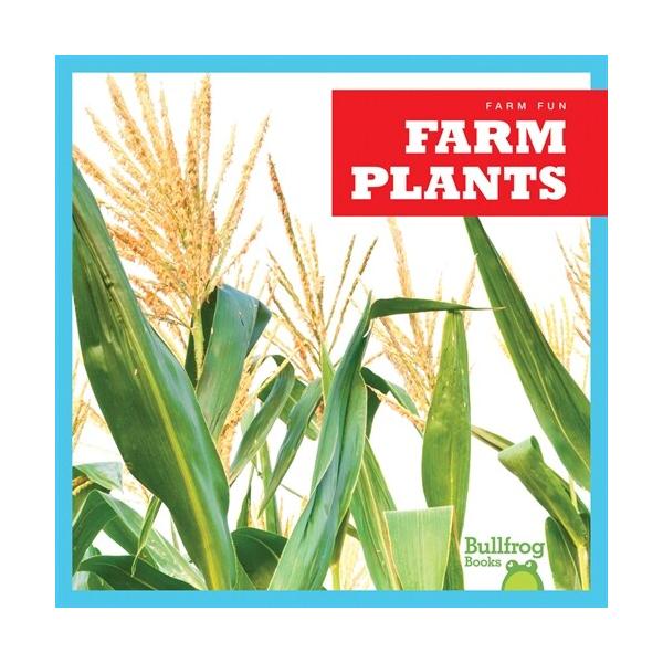 【お取り寄せ・キャンセル不可の商品】：2週間~4週間でお届け（お急ぎの方はご遠慮ください。）　／　【本の説明】24ページ　201*191mm　言語：English　204g　ISBN:9781645275275　対象年齢：4~8歳|Lexi...