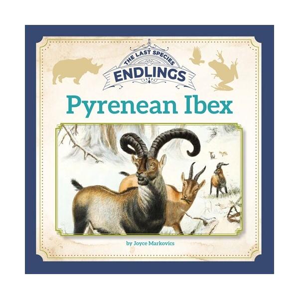 【お取り寄せ・キャンセル不可の商品】：2週間~4週間でお届け（お急ぎの方はご遠慮ください。）　／　【本の説明】24ページ　210*208mm　言語：English　236g　ISBN：9781668909690　対象年齢：8~12歳|Lex...