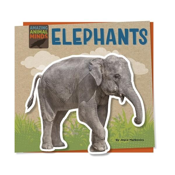 【お取り寄せ・キャンセル不可の商品】：2週間~4週間でお届け（お急ぎの方はご遠慮ください。）　／　【本の説明】24ページ　210*209mm　言語：English　240g　ISBN：9781668927908　対象年齢：7~10歳|Lex...