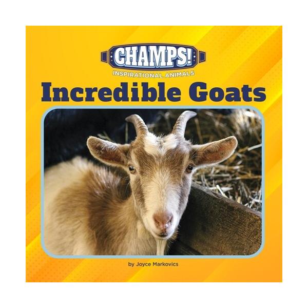 【お取り寄せ・キャンセル不可の商品】：2週間~4週間でお届け（お急ぎの方はご遠慮ください。）　／　【本の説明】24ページ　210*206mm　言語：English　231g　ISBN：9781668946886　対象年齢：8~11歳|Lex...