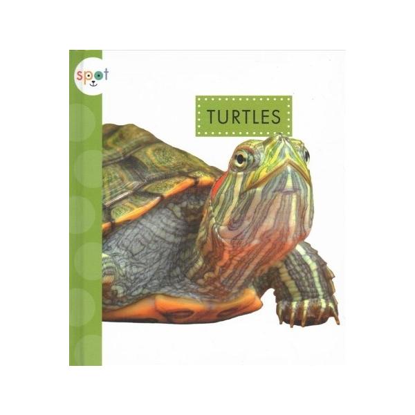 【お取り寄せ・キャンセル不可の商品】：2週間~4週間でお届け（お急ぎの方はご遠慮ください。）　／　【本の説明】16ページ　206*180mm　言語：English　204g　ISBN:9781681513713　対象年齢：5~8歳|Lexi...