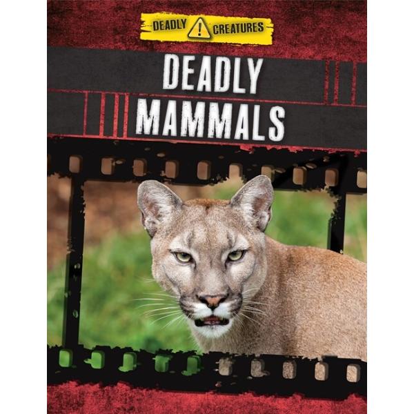 【お取り寄せ・キャンセル不可の商品】：2週間~4週間でお届け（お急ぎの方はご遠慮ください。）　／　【本の説明】32ページ　言語：English　560g　ISBN:9781725331778　対象年齢：8~11歳　／　【本の内容】From ...