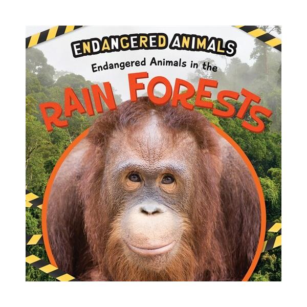 【お取り寄せ・キャンセル不可の商品】：2週間~4週間でお届け（お急ぎの方はご遠慮ください。）　／　【本の説明】24ページ　218*221mm　言語：English　249g　ISBN:9781725336247　対象年齢：6~8歳　／　【本...