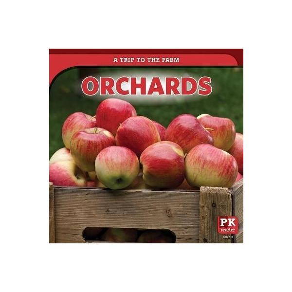 【お取り寄せ・キャンセル不可の商品】：2週間~4週間でお届け（お急ぎの方はご遠慮ください。）　／　【本の説明】24ページ　218*218mm　言語：English　249g　ISBN：9781725339392　対象年齢：6~8歳　／　【本...