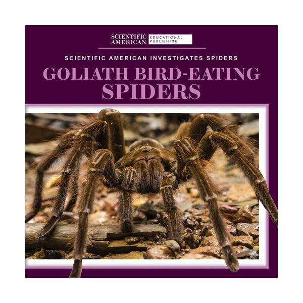 【お取り寄せ・キャンセル不可の商品】：2週間~4週間でお届け（お急ぎの方はご遠慮ください。）　／　【本の説明】24ページ　206*206mm　言語：English　277g　ISBN：9781725351301　対象年齢：7~10歳　／　【...