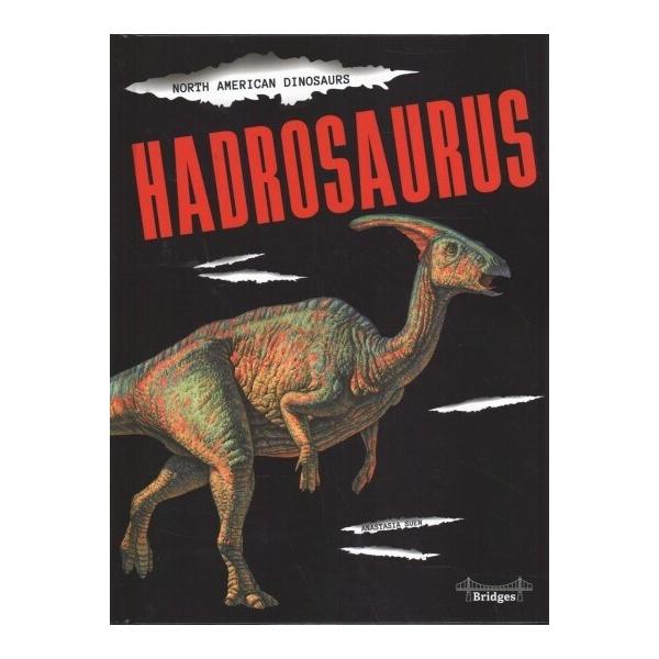 【お取り寄せ・キャンセル不可の商品】：2週間~4週間でお届け（お急ぎの方はご遠慮ください。）　／　【本の説明】32ページ　193*257mm　言語：English　国：アメリカ　295g　ISBN：9781731614490　対象年齢：8~...