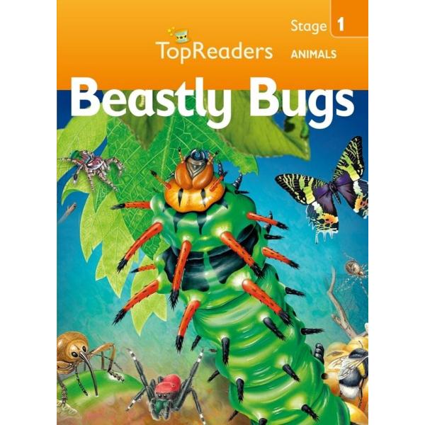 【お取り寄せ・キャンセル不可の商品】：2週間~4週間でお届け（お急ぎの方はご遠慮ください。）　／　【本の説明】24ページ　165*230mm　27g　ISBN:9781740896733　