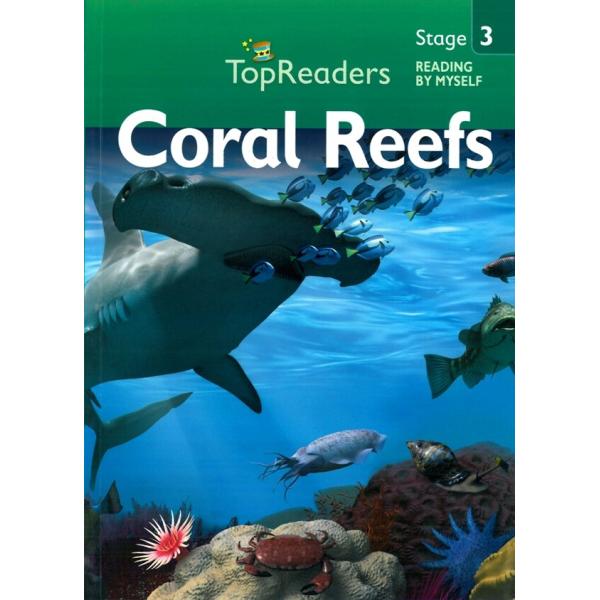 【お取り寄せ・キャンセル不可の商品】：2週間~4週間でお届け（お急ぎの方はご遠慮ください。）　／　【本の説明】32ページ　165*230mm　36g　ISBN:9781740896993　