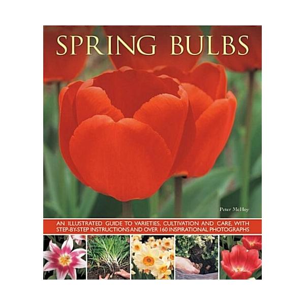 【お取り寄せ・キャンセル不可の商品】：2週間~4週間でお届け（お急ぎの方はご遠慮ください。）　／　【本の説明】64ページ　202*238mm　言語：English　国：イギリス　245g　ISBN：9781780193076　／　【本の内容...